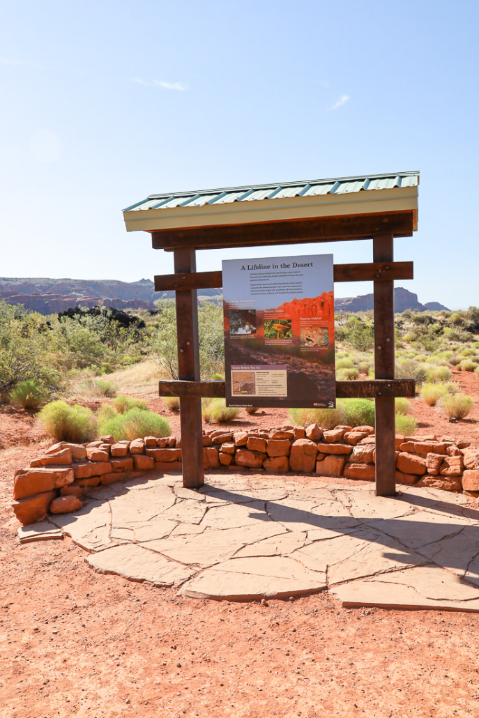 Scout Cave Trail - Hike St George