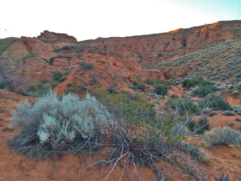 Elephant Arch – Red Cliffs Desert Reserve - Hike St George