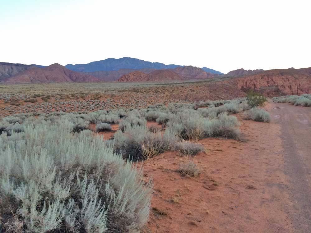 Elephant Arch – Red Cliffs Desert Reserve - Hike St George
