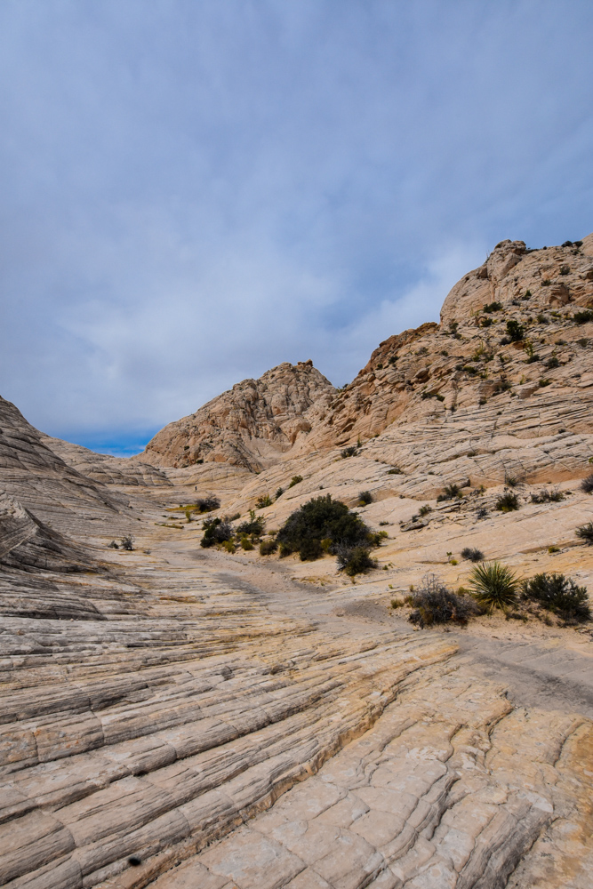 Stay-cation at The Ledges of St George - Hike St George