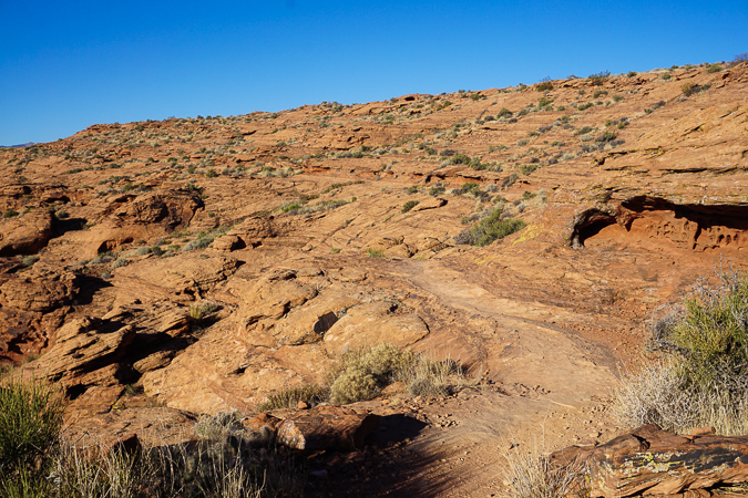 Owen's Loop - Hike St George