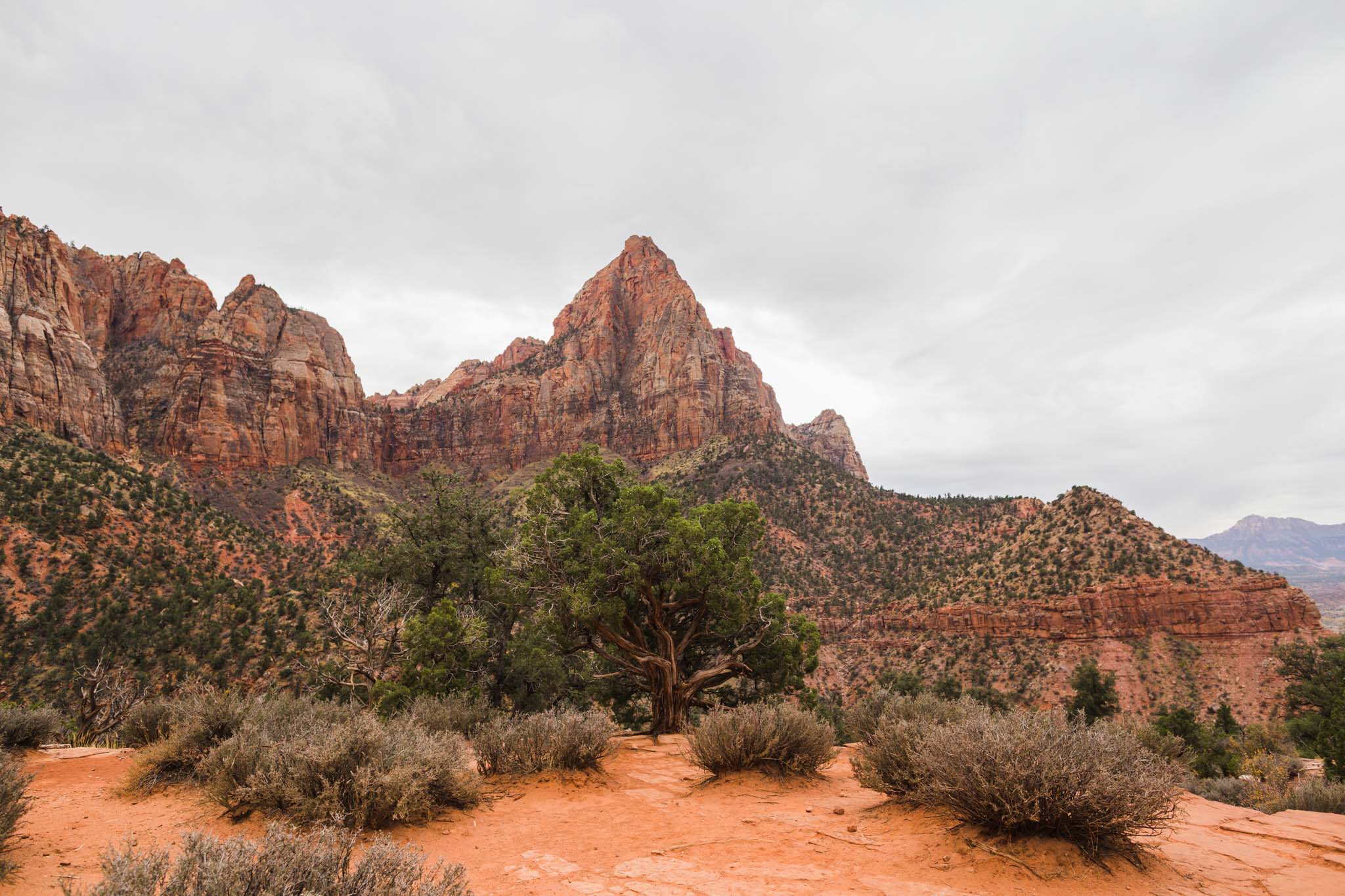 Watchman Trail - Zion National Park - Hike St George