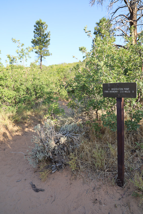East Mesa Trail To Observation Point - Zion National Park - Hike St George