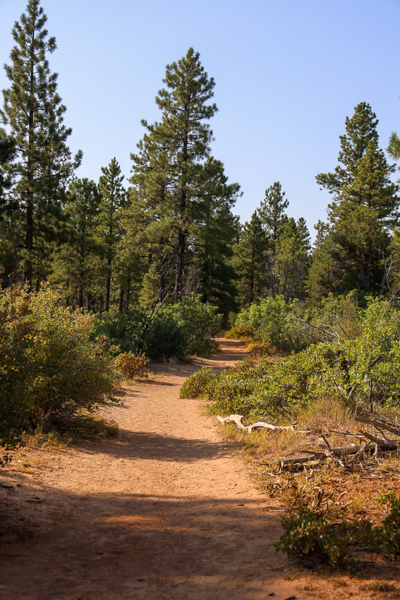 East Mesa Trail To Observation Point - Zion National Park - Hike St George