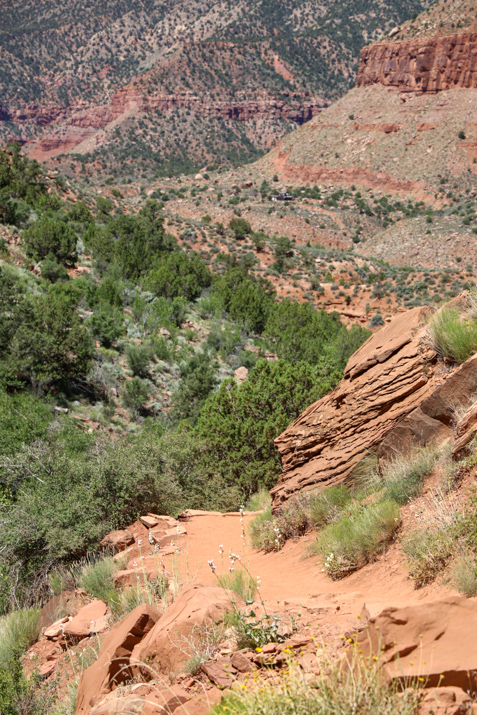 Watchman Trail - Zion National Park - Hike St George