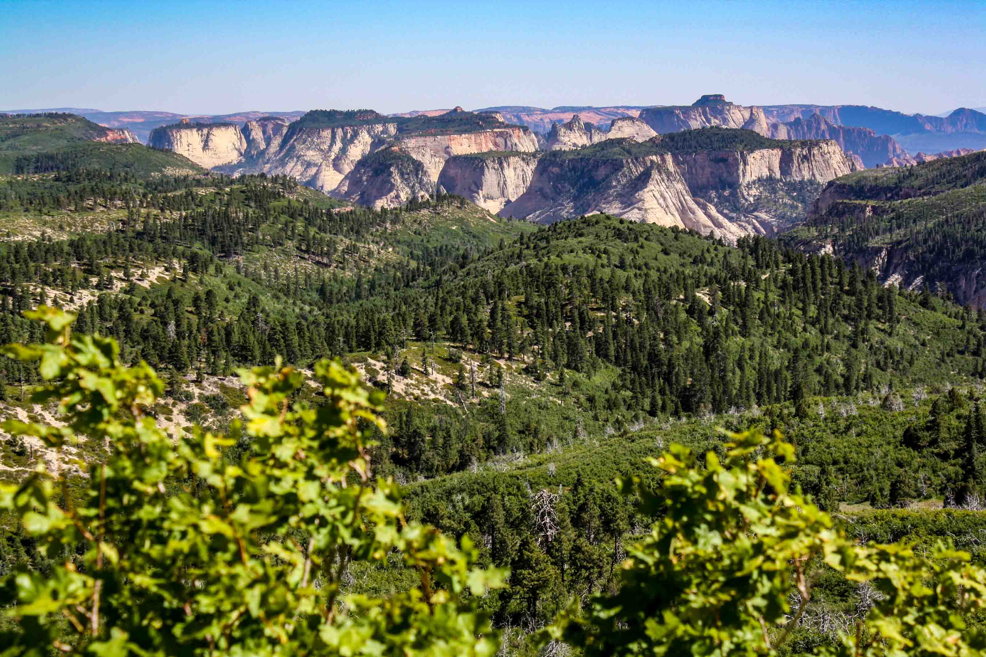 Kolob Terrace - Hike St George
