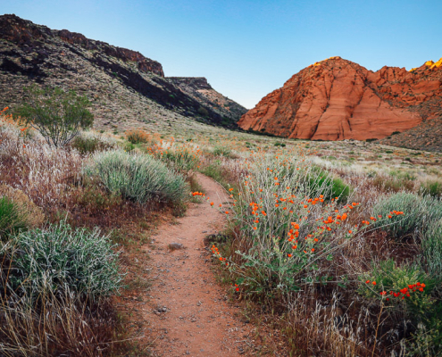 Camping in Red Cliffs Recreation Area - Hike St George