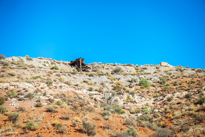 White Reef - Red Cliffs Desert Reserve - Hike St George